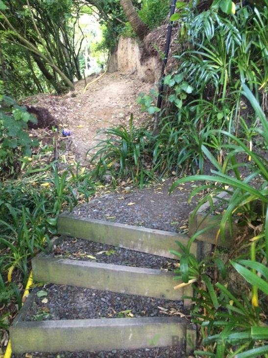 Ponga/Punga log retaining wall for bush walk (#113582) | Builderscrack