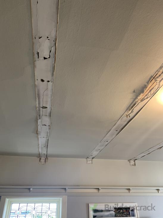 Repair and replaster or gib old ceilings (# 666077) | Builderscrack
