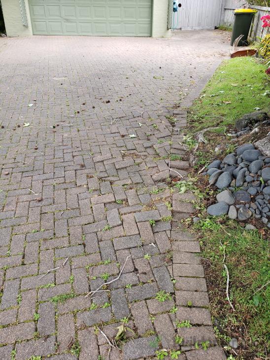 Re-paving parts of driveway damaged by tree roots and subsidence ...