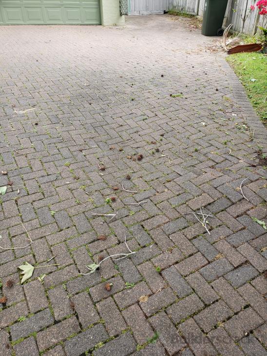 Re-paving parts of driveway damaged by tree roots and subsidence ...