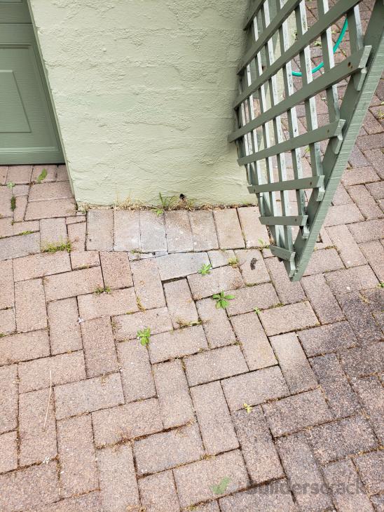 Re-paving parts of driveway damaged by tree roots and subsidence ...