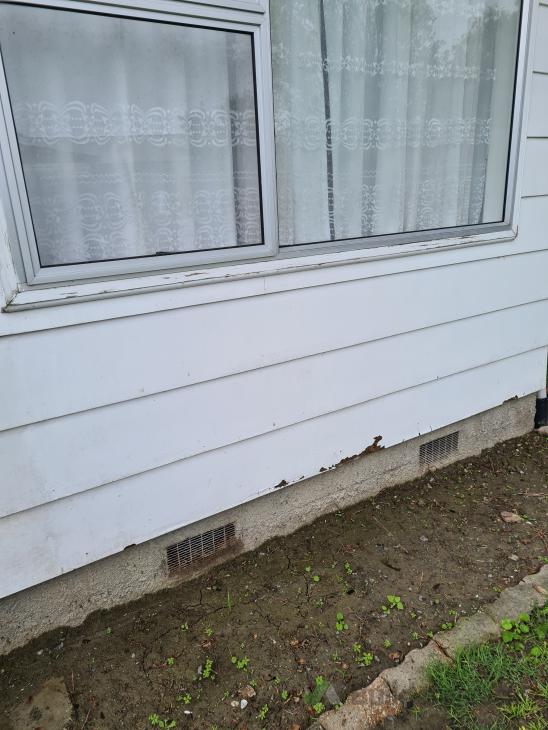 5 weatherside cladding boards replace with hardie plank (#706057 ...