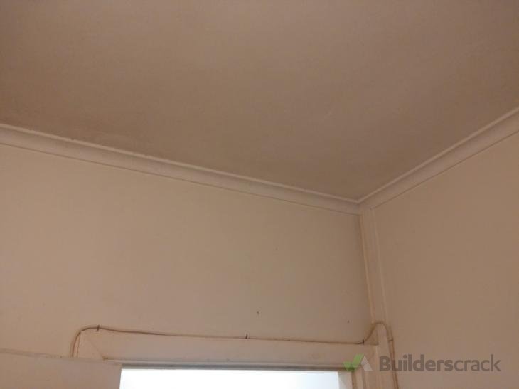 Clean mouldy carpet, walls and ceiling (# 128263) | Builderscrack