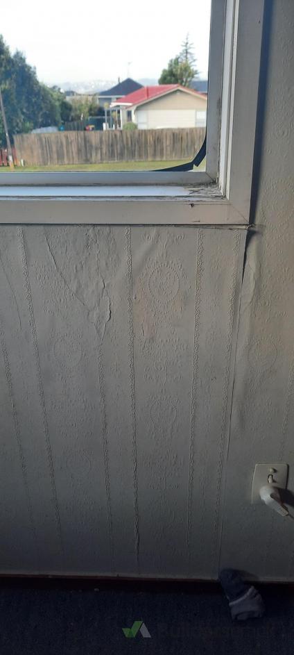 Replace the rubber beading (Glazing) in several windows (# 751990 ...